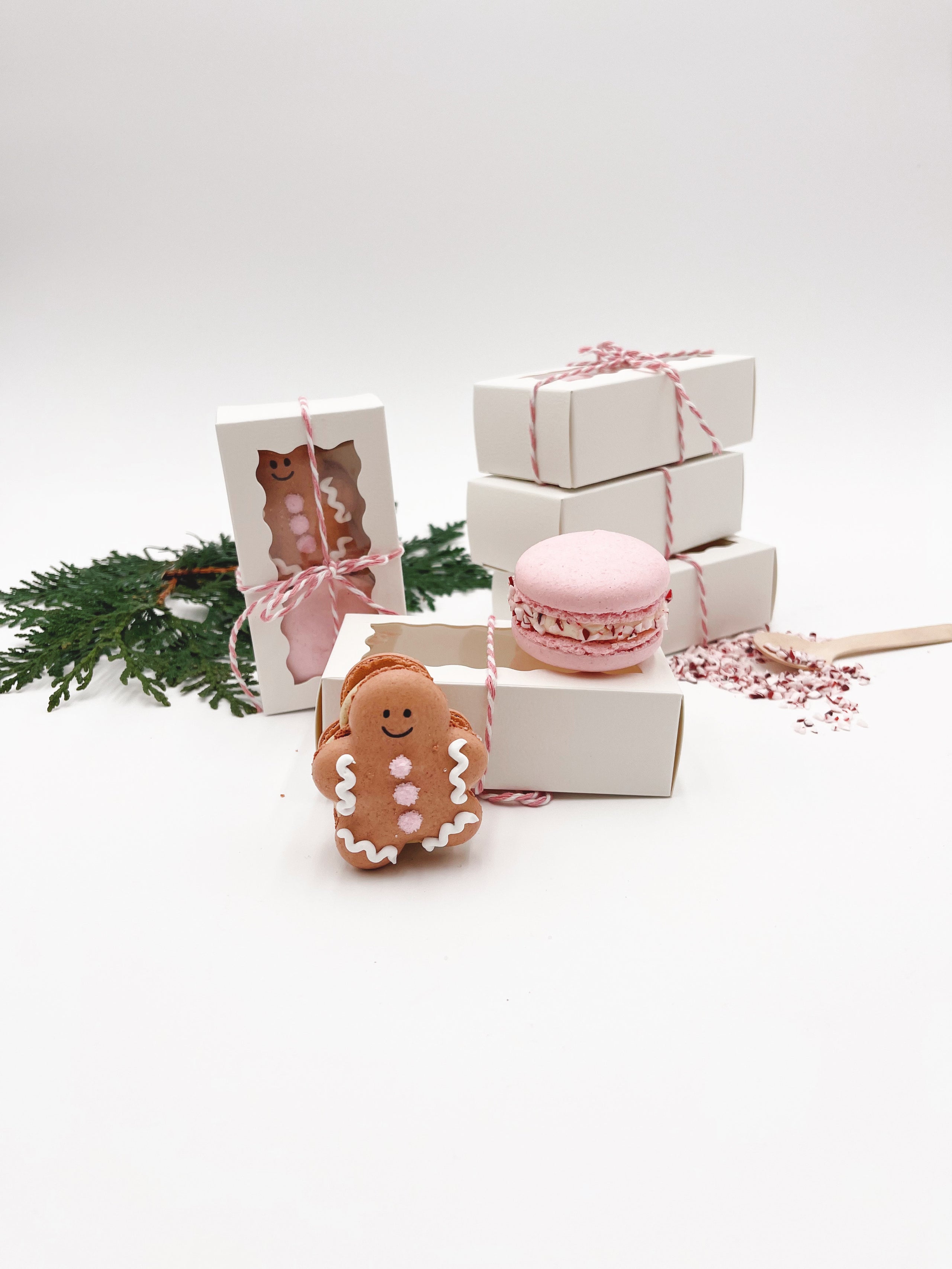 Christmas Macaron Set | Emmy's Kitchen
